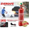 Eversafe 1kg Portable Fire Extinguisher - Safety Hammer Sdn. Bhd.